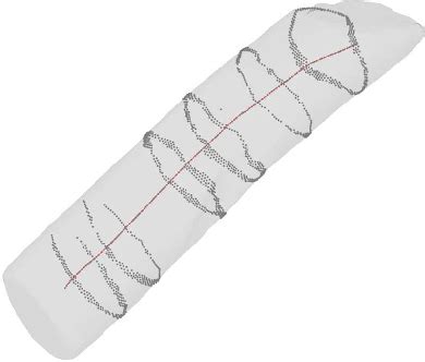 Corresponding Relationship Between Skeleton Nodes And Mesh Download Scientific Diagram