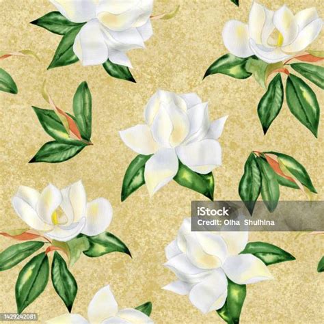 화이트 목련 꽃 수채화 이음새가 없는 무늬 꽃이 피는 나뭇 가지 끝없는 배경 손으로 그린 식물 요소 직물과 벽지를 위해 청첩장 배경 0명에 대한 스톡 벡터 아트 및 기타