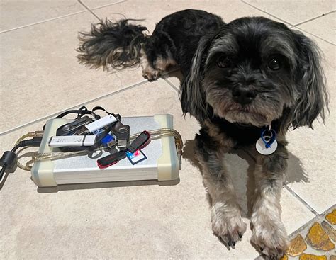 BACKUP LIKE A BOSS HOW TO SECURE YOUR DATA ON A STORAGE DEVICE Digital Nomads