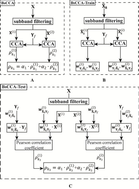 Schematic Diagram Of Bscca Algorithm A Schematic Diagram Of The Download Scientific Diagram