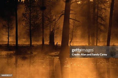 Dawn Crey Fotografías E Imágenes De Stock Getty Images