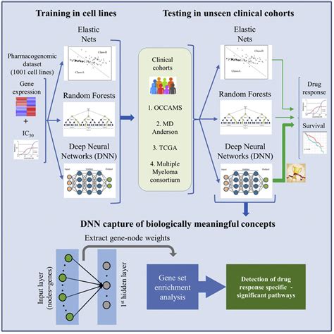 A Deep Learning Framework For Predicting Response To Therapy In Cancer