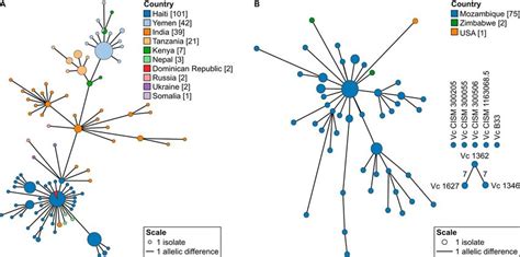 Minimum Spanning Trees Isolated When The Outbreak Threshold Was Applied Download Scientific