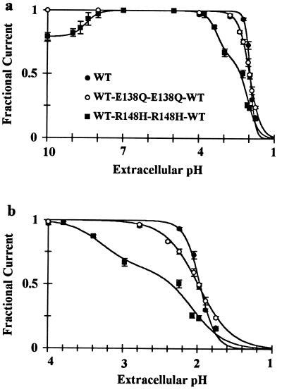Stabilization Of Ion Selectivity Filter By Pore Loop Ion Pairs In An Inwardly Rectifying