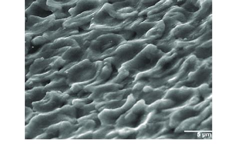 B Sem Micrographs Of Titanium Alloy Machined Surface Download