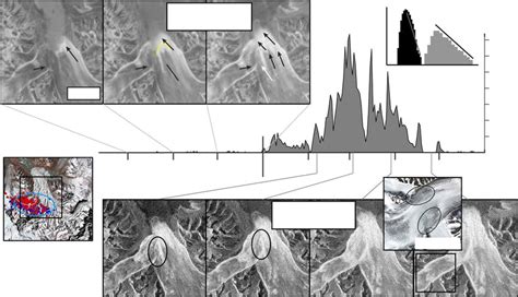 Observational Timeline Of Glacier Collapse Heavily Crevassed Areas