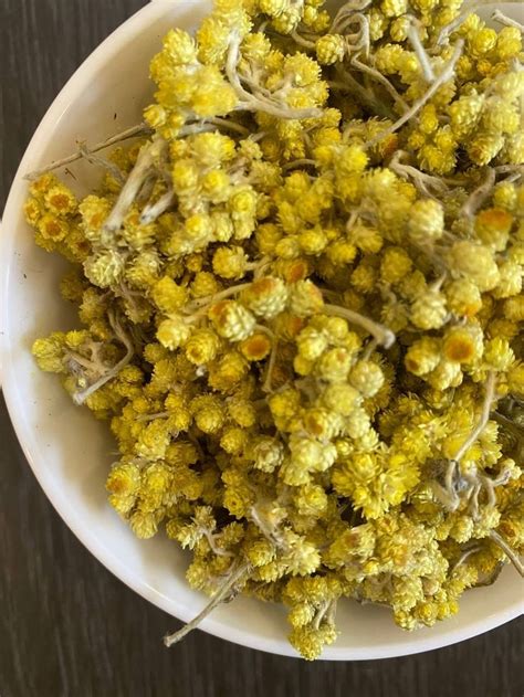 Бессмертник | Food, Cauliflower, Vegetables
