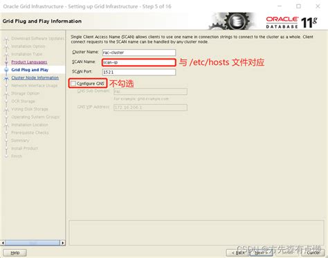 基于 vsphere 环境安装 oracle 11g rac 详细过程 vsphere oracle rac csdn博客