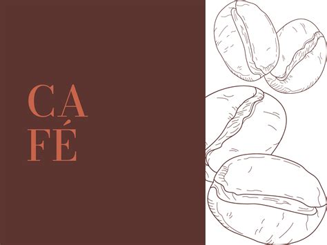 alcoolat de café coffea arabica