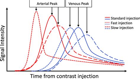 Dependence Of Arterial And Venous Vessel Signal Intensity On Contrast