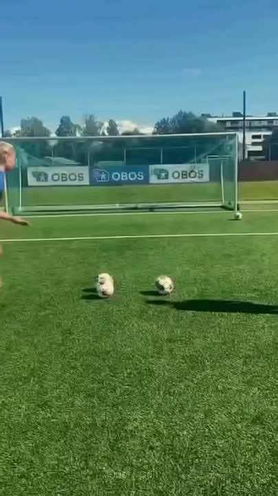 Video Akanda Biz Posted On Linkedin