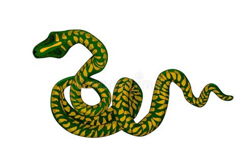 Green Snake Isolated On White Background Large Coiled Serpent With Green Snake Isolated On White Background Large Coiled Serpent With