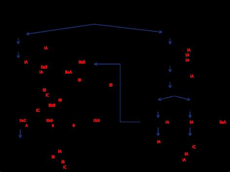 Simplified Algorithm Of Stemi Treatment Based On The Current European
