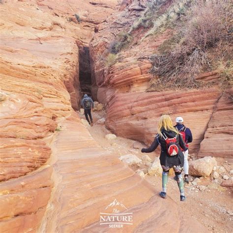 How To Hike The Wire Pass Trail Step By Step Guide