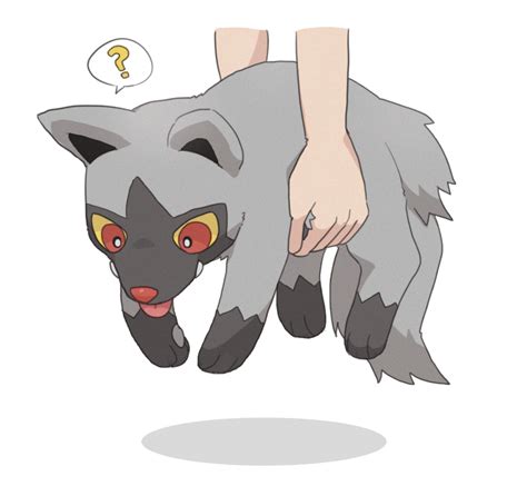 Ikki Gsl 9708 Poochyena Nintendo Pokemon Korean Commentary