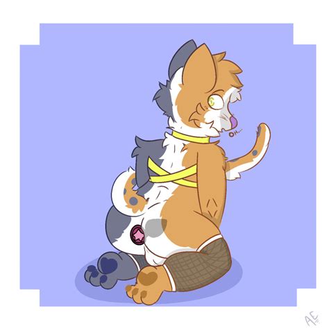 Rule 34 Alexboom11 Anthro Ass Balls Clothing Comet Alexboom11 Domestic Cat Felid Feline