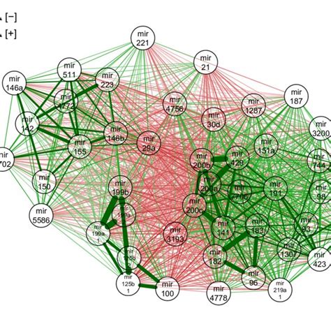 Expression Correlation Network Showing Positive Blue Negative And