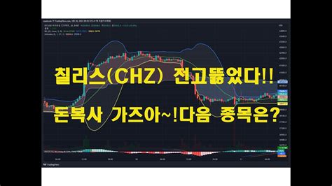 마동석코인 마코 칠리스chz 전고점 뚫었다다음 종목은 비트코인 리플 이더리움 마동석코인 비트코인가이드