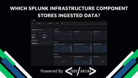 Which Splunk Infrastructure Component Stores Ingested Data By