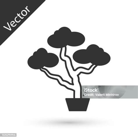 흰색 배경에 고립 된 회색 일본 분재 나무 아이콘 일본 문화 원예 올레리컬처 취미 컨셉 벡터 0명에 대한 스톡 벡터 아트 및 기타 이미지 Istock