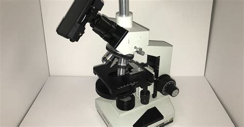 Filamentous Bacteria Identification Now Can Treatment Plant Operator