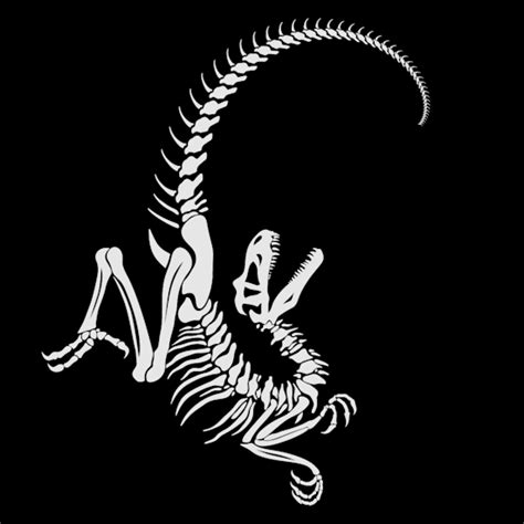 Have More Control Over The Transform Effect In Illustrator