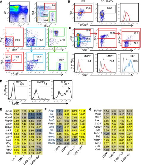 Adult Bm Lymphoid Progenitors Can Be Divided Into Four Subsets Download Scientific Diagram