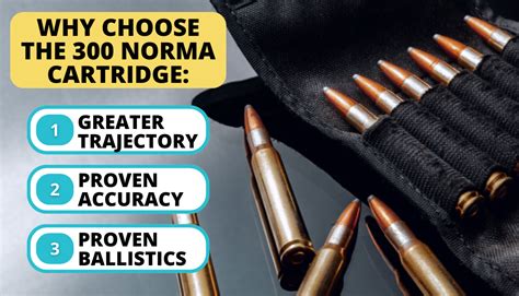 300 Norma Vs 300 Prc The Best Caliber To Use In 2023