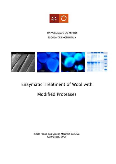 Pdf Enzymatic Treatment Of Wool With Modified Proteases