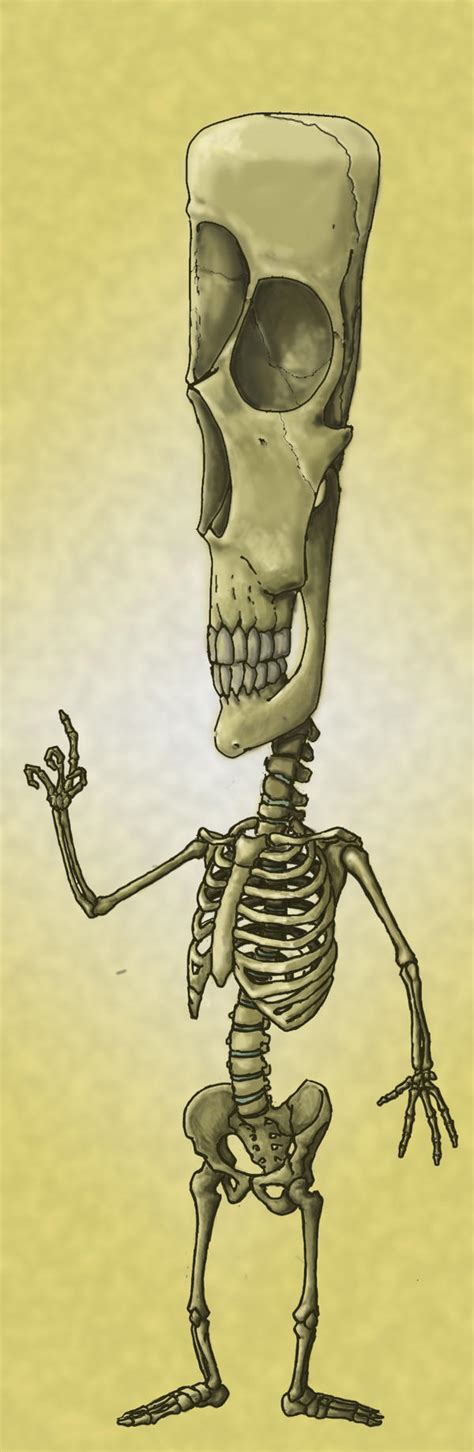 Ferb Skeleton By Tanek On Deviantart