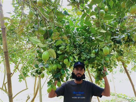 ইসলামী জাগরণের পথিকৃৎ সাইয়্যেদ আবুল আলা মওদূদী রহঃ বিশিষ্ট মার্কিন রাষ্ট্রবিজ্ঞানী অধ্যাপক