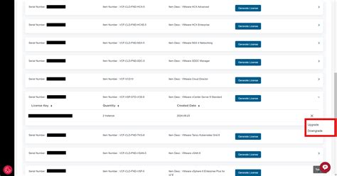 6 The Consumption Portal Role Will Also Provide You Access