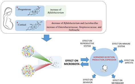 Microbiome Research Reports