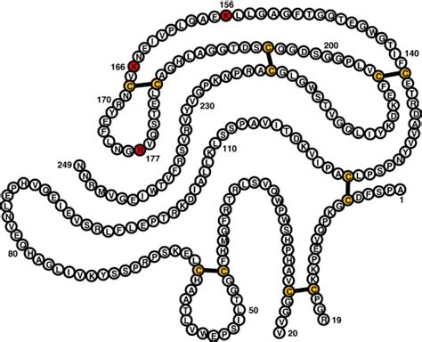 Primary Structure Of Active Ocriplasmin Download Scientific Diagram