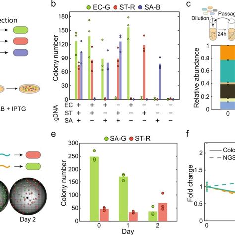 Cell Based Dna Sensors Can Detect Species Without Dna Extraction A