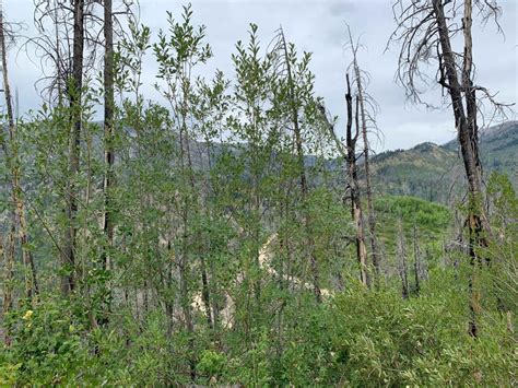 China Basin Scenic Bypass Idaho Off Road Trail Map And Photos Onx Offroad