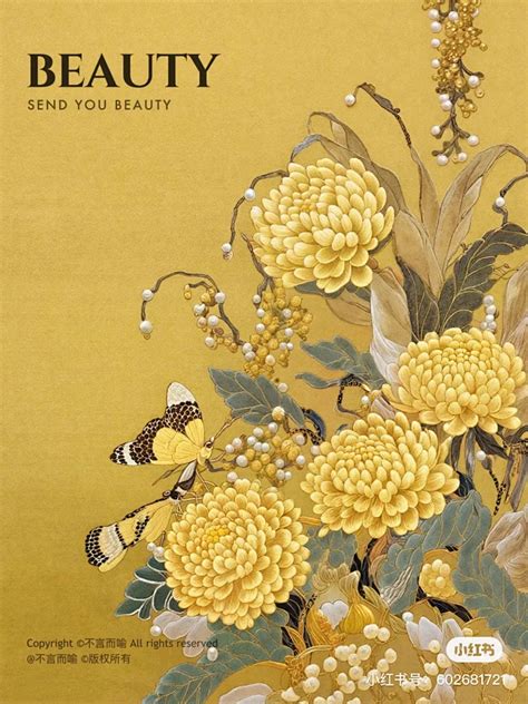 花瓣灵感详情页 花瓣网