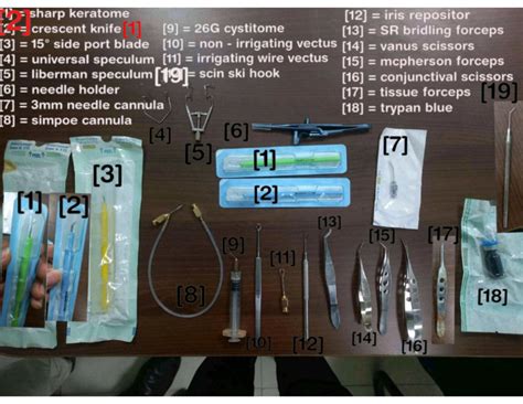 sics instruments 1 2 pdf