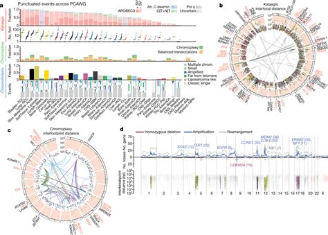 Patterns Of Clustered Mutational Processes In Pcawg A Kataegis Top Download Scientific