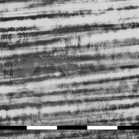Etch Rate And Roughness Of Gansi Etched Using 325nm Laser Illumination Download Scientific