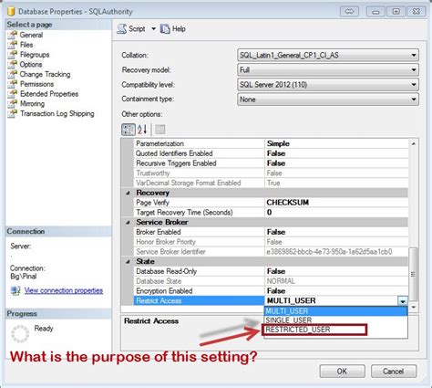 Sql Server Understanding Restrict Access To Restricteduser Database