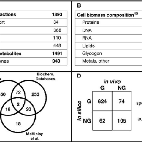 Summary Of Model Statistics And Validation A Overall Model Download Scientific Diagram