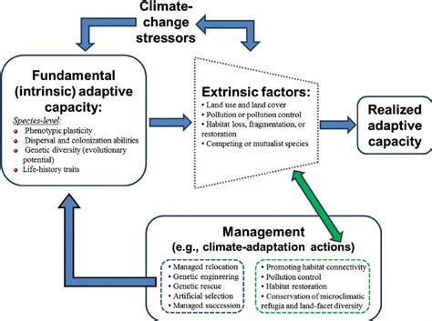 A New Heuristic Conceptualization Of Adaptive Capacity Ac Conceptual Download Scientific