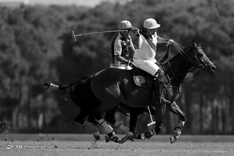 هشتمین دوره مسابقات چوگان