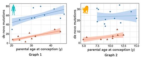 The Causes Of Mutations Worksheets Library The Causes Of Mutations Worksheets Library