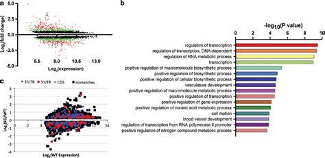 Microarray Analyses Of Mrna Transcriptome In Spermatocytes Purified Download Scientific Diagram