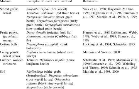 Acoustical Detection Of Hidden Insect Infestations Download Table