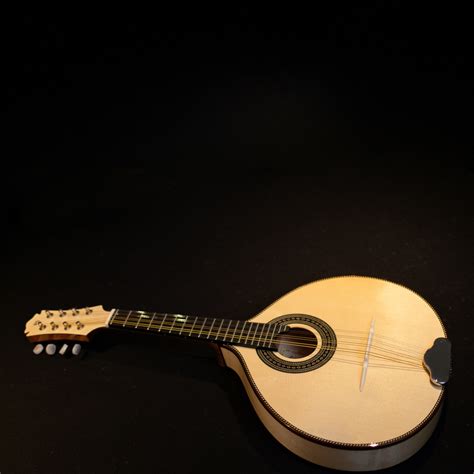 Brazilian Mandolin 8 String Pedro Santos Mandolin Cafe