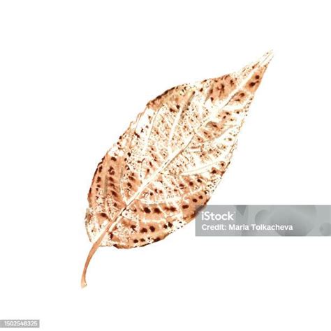 하얀 배경에 고립된 가을 나뭇잎의 자연스러운 예술적 질감 포스터 프레임 디자인 요소 패턴에 대한 잎사귀 각인의 식물 수채화 그림 10월에 대한 스톡 벡터 아트 및 기타