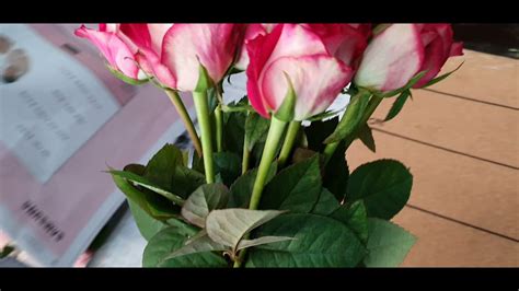 올스타 장미 생화 인터넷꽃도매시장 생화택배 생화도매 인터넷꽃시장 인터넷꽃도매 장미대량구매 꽃 꽃다발 꽃도매 꽃시장 부산꽃시장 김해꽃시장 꽃쇼핑몰 김해꽃 부산꽃 꽃싸게사는법